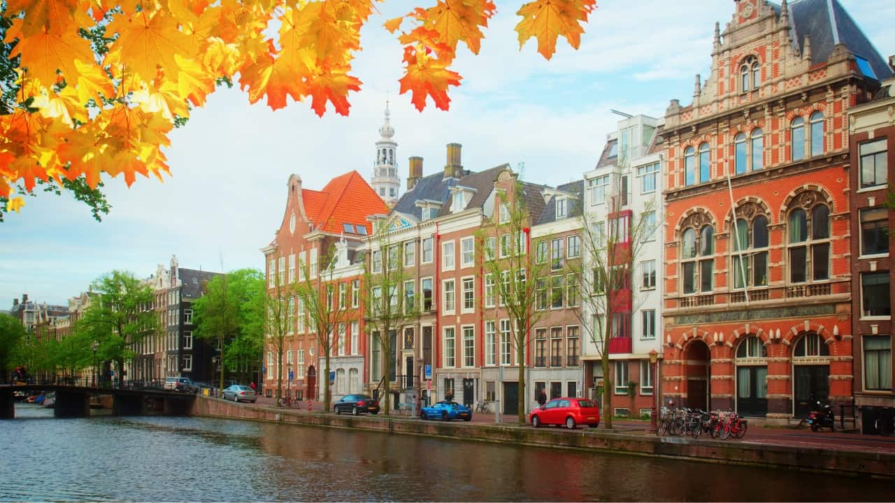 Study in the Netherlands - IES Portal - Migration. Study Abroad.