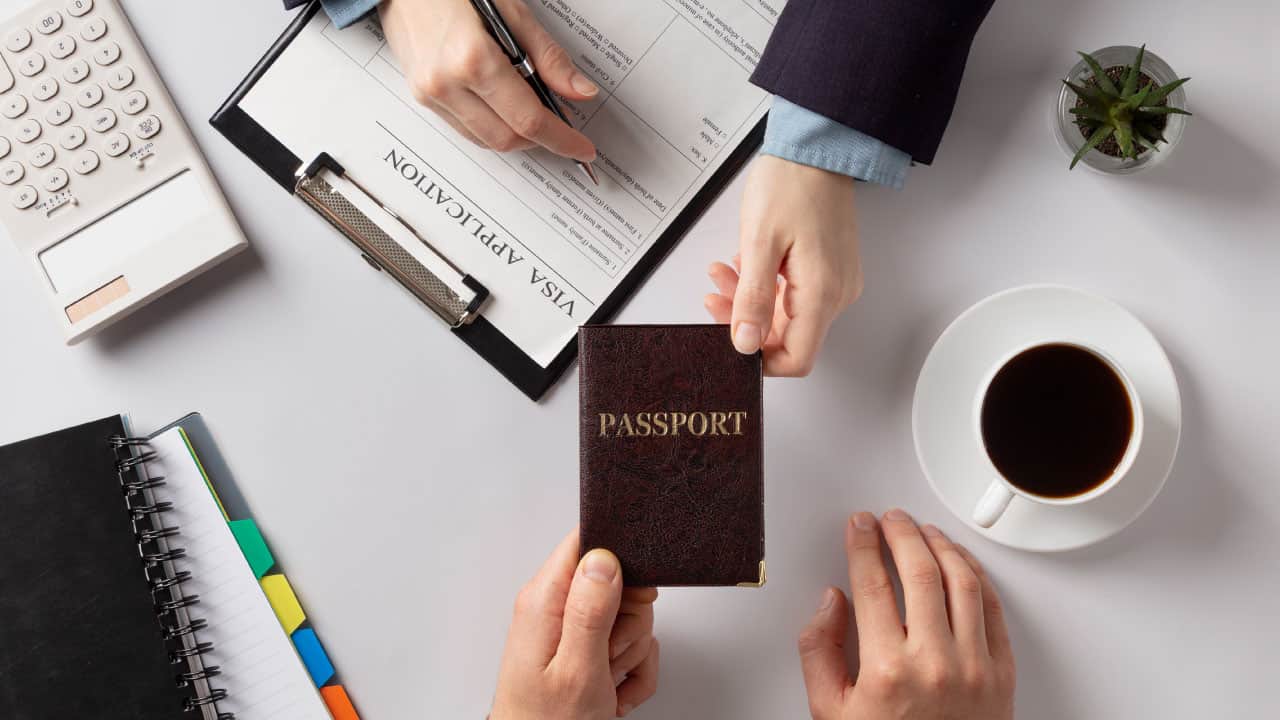 Study in the Netherlands - IES Portal - Migration. Study Abroad.